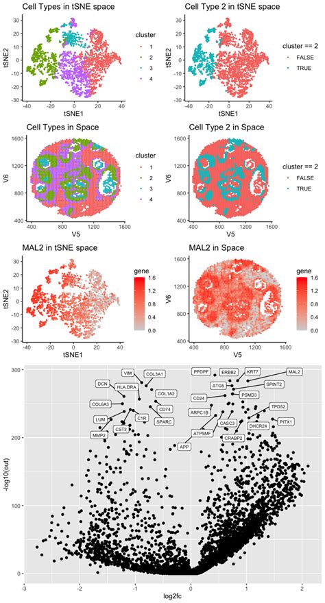 Exploring The Cell Types Of Breast Cancer Visium Data Genomic Data Visualization