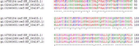 traditional depiction of multiple sequence alignment a depiction of