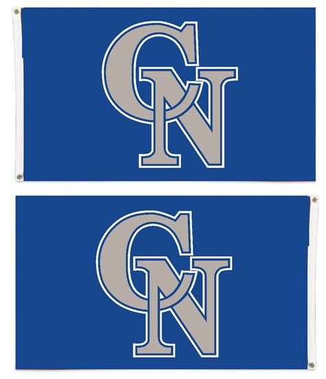 Colo Nesco 2 Sided 3x5 Flag Grey Logo