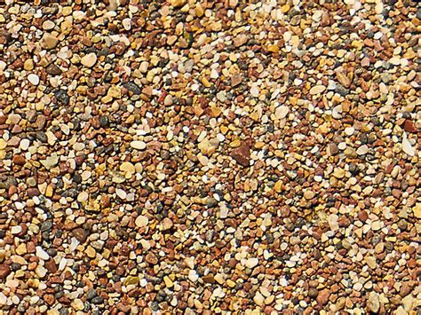 Siergrind Kleur Yellow Kamperman Bouw En Ondersteuning B V