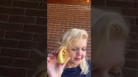 Mulva The Vulva Part Womens Pleasure Youtube