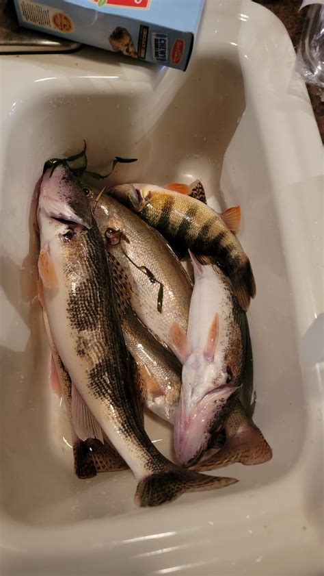 Jh Custom Baits Home