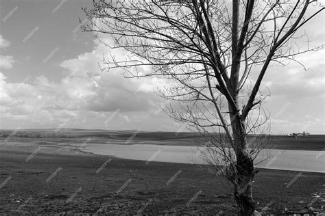 Premium Photo Global Warming And Drought Negative Effects Of Drought On Waters Decrease In