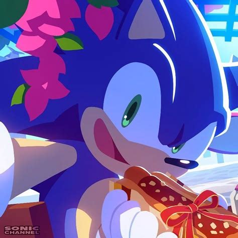 Sonic The Hedgehog Pfp