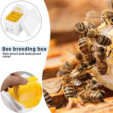 Honey Beehive Frames Beekeeping Box Bee Hive King Grandado
