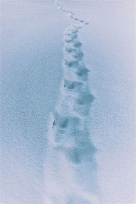 Are Snowblower Shear Pins Universal Answered Refresh Outdoors