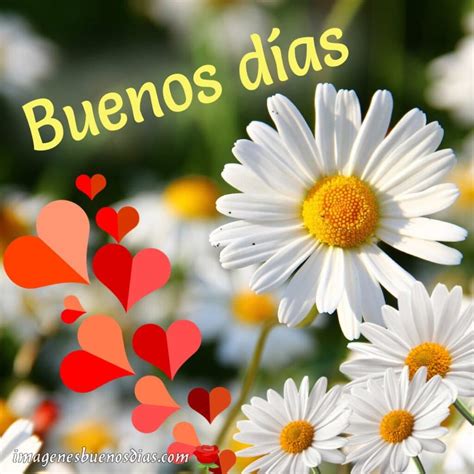25 Imágenes Buenos Días Con Flores Y Rosas 🌹