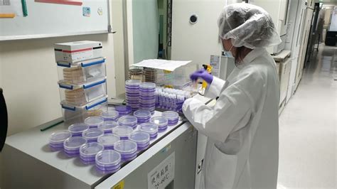寶林茶室調查新進度 A13代班廚師糞便檢體驗出邦克列酸 屏東時報電子報