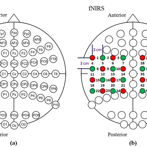 Experimental Paradigm For Eeg Fnirs Bimodal Measurement Download
