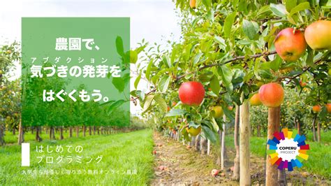 『はじめてのプログラミング』大学生らが優しく寄り添う無料オンライン農園 Coperu Project