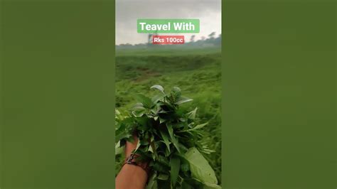 Amar Sona Pakhi Go Rks 100cc Shorts Travel Vlog Youtube