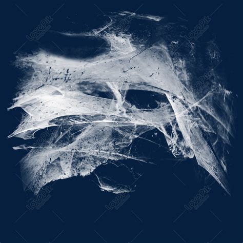 흰색 거미줄 그물 현실적인 효과 Png 일러스트 무료 다운로드 Lovepik