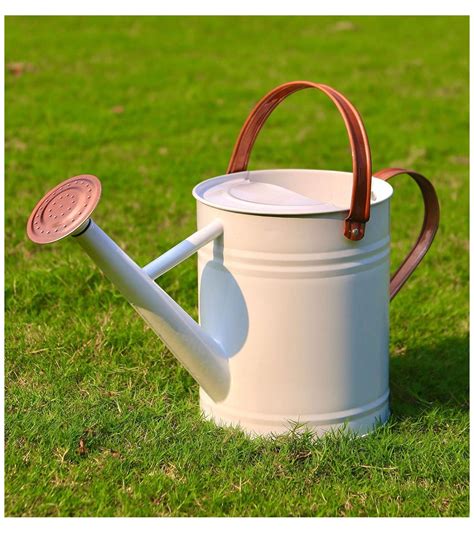 Watering Can For Outdoorandindoor Plants，1 Gallon Metal Plant Watering Can With Detachable