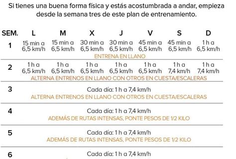 Descubre cuántos km caminar al día para una vida saludable