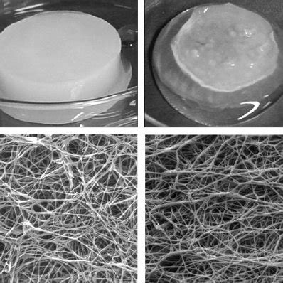 PDF Bacterial Nanocellulose As A Microbiological Derived Nanomaterial