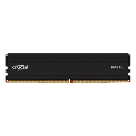 Crucial Pro 16gb 5600mhz Ddr5 Desktop Memory Fivvo