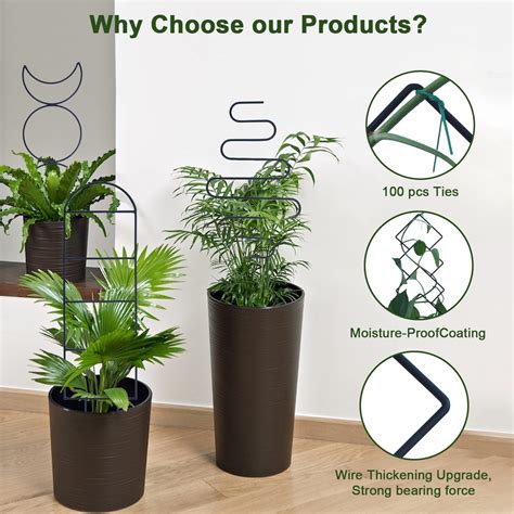 Small House Plants For Trellis 3pcs Diy Garden Trellis Climbing Plant