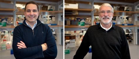 Enhanced Development Of Functional Human Natural Killer Cells For