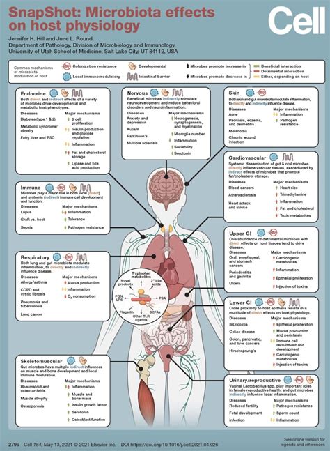 Microbes Can Play Both Pathogenic And Commensal Roles And It Is Common