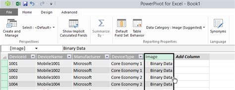 Loading An Image Into The Model Using Power Query Kasper On Bi