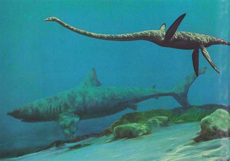 Doug Hendersons Marine Paleo Life Art