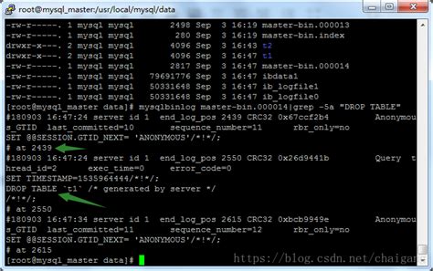 Mysql利用mysqlbinlog命令恢复误删除数据binlog000014 Csdn博客