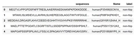 Sequence Classification Machine Learning Tpoint Tech