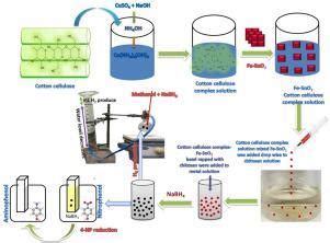 Carbohydrate Polymers X Mol