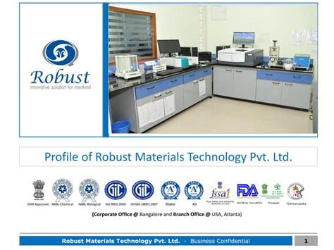 rm profile robust analytical and consultancy service v2 092017 pdf