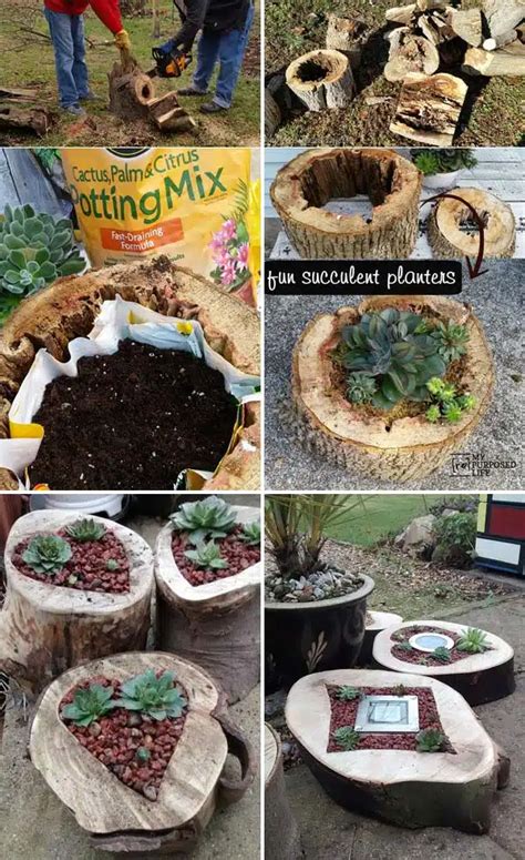 Amazing DIY Tree Log Projects For Your Garden