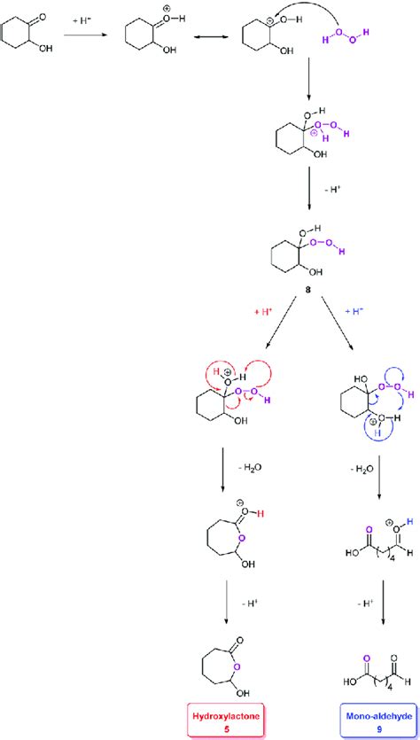 Scheme 3 Hypothetical Mechanism Of The Acid Catalyzed Rearrangement Of