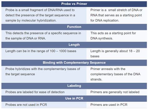 What Is Primer Dan Probe Definition And Explanation Crown Biotek