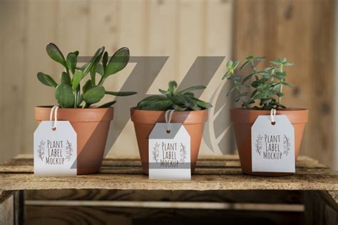 دانلود فایل لایه باز مجموعه موکاپ لیبل گل و گیاه دانلود رایگان فایل