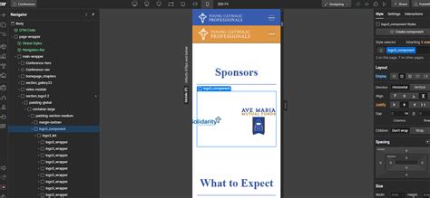 Animation Images Not Showing On Mobile Animations Interactions