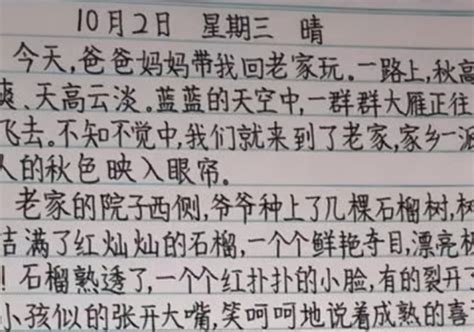 小学生印刷字体走红网络，老师震惊不已，家长自叹不如 搜狐大视野 搜狐新闻