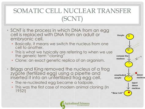 Ppt Cloning Powerpoint Presentation Free Download Id 1984919