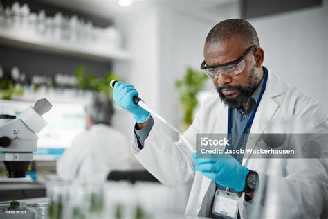 실험실 의학 연구 또는 Gmo 식품 공학의 시험관을 위한 사람 생각 또는 피펫 지속 가능성 잎 연구의 작업자 점 적기 또는 식물