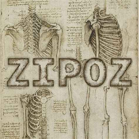 Zipoz Youtube