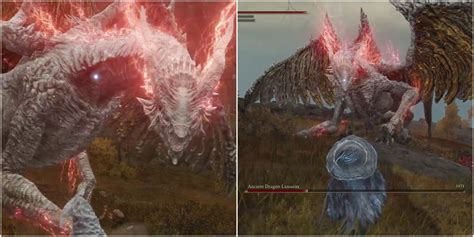 Elden Ring How To Find And Defeat Ancient Dragon Lansseax