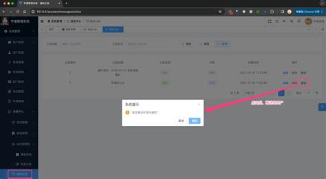 Websocket Ruoyi Vue Pro