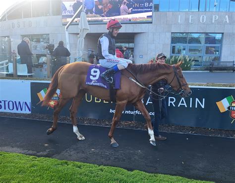 Elizabeth Jane Shows Her Class In Leopardstown Listed Win