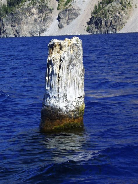 The Old Man Of Crater Lake National Park National Park Trust