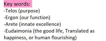 Aristotle S Virtue Ethics Flashcards Quizlet