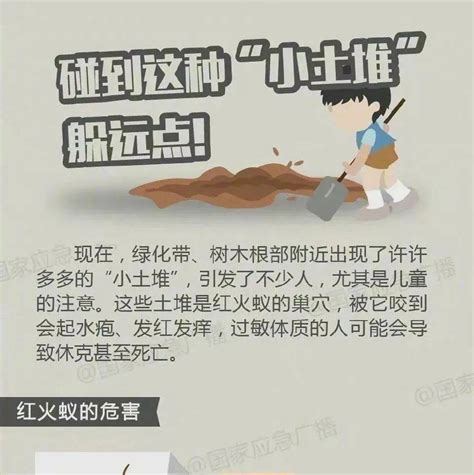 离这种“小土堆”越远越好，严重可致死亡！水疱巢穴疾病