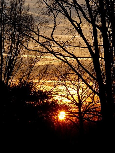 Puesta Del Sol Luz Madera Foto Gratis En Pixabay Pixabay
