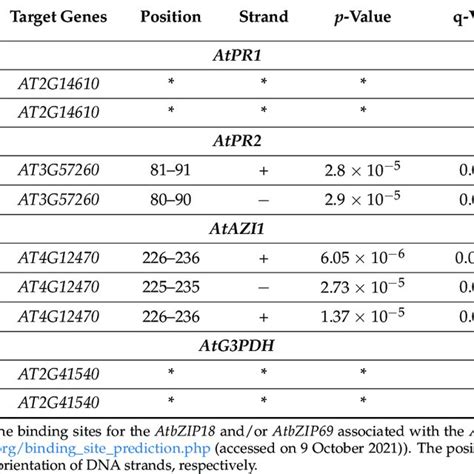 Identified Transcription Factor Binding Sites In The Promoter Of Target