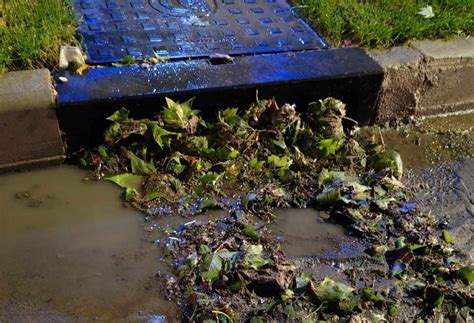 თბილისის მერია უხვმა ნალექმა პრობლემები შეუქმნა დედაქალაქს დაიტბორა ქუჩები წაიქცა ხეები