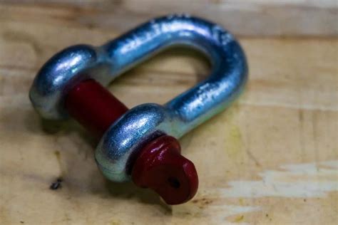 D Shackle Alloy Steel D Shackle Wholesale Trader From Chennai