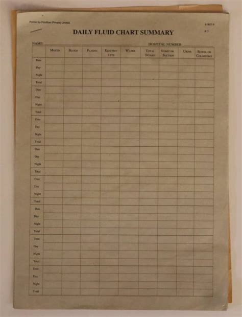 Daily Fluid Chart 20 Printflow Private Limited
