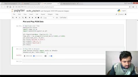 Pynq Fpga 4th Session On Audio Processing And Python Examples By